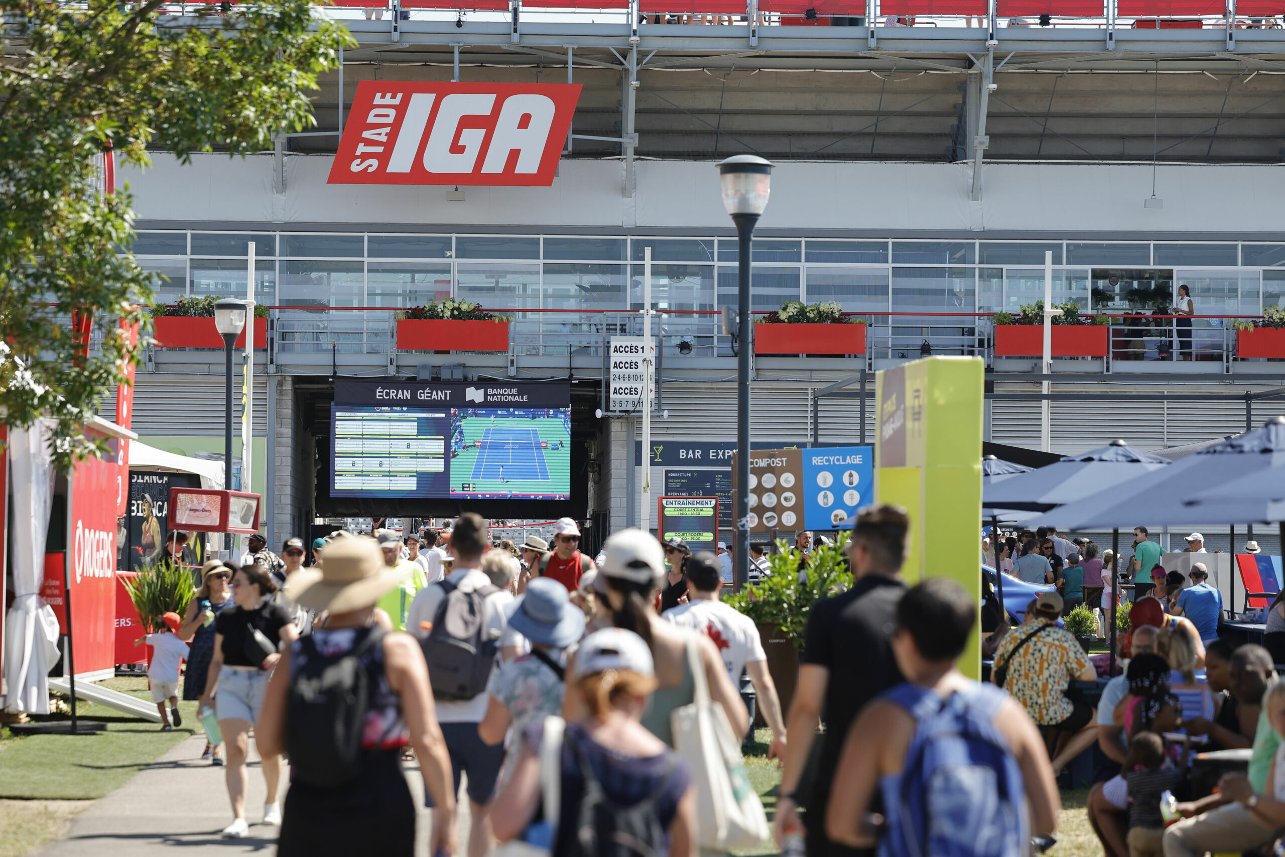 National Bank Open Wild Card Awarded To Canadian Winners Of New ...