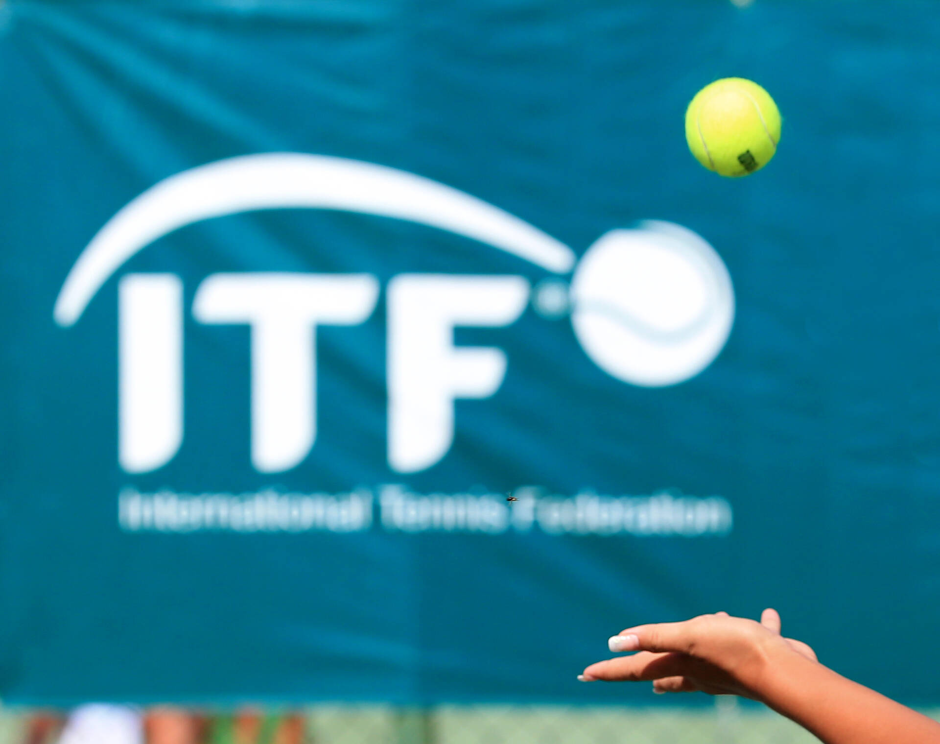 Vergeer And Draney, Wheelchair Legends, Are Inducted Into International ...